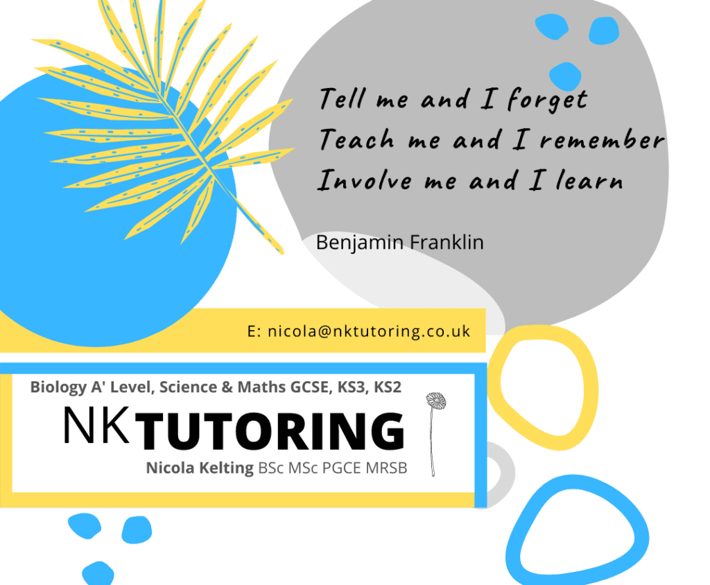 About NK Tutoring - NK Tutoring